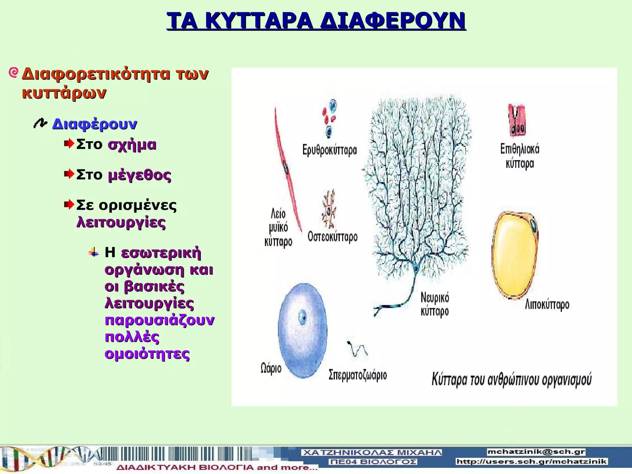 Kyttaroimonadatiszois | PPT