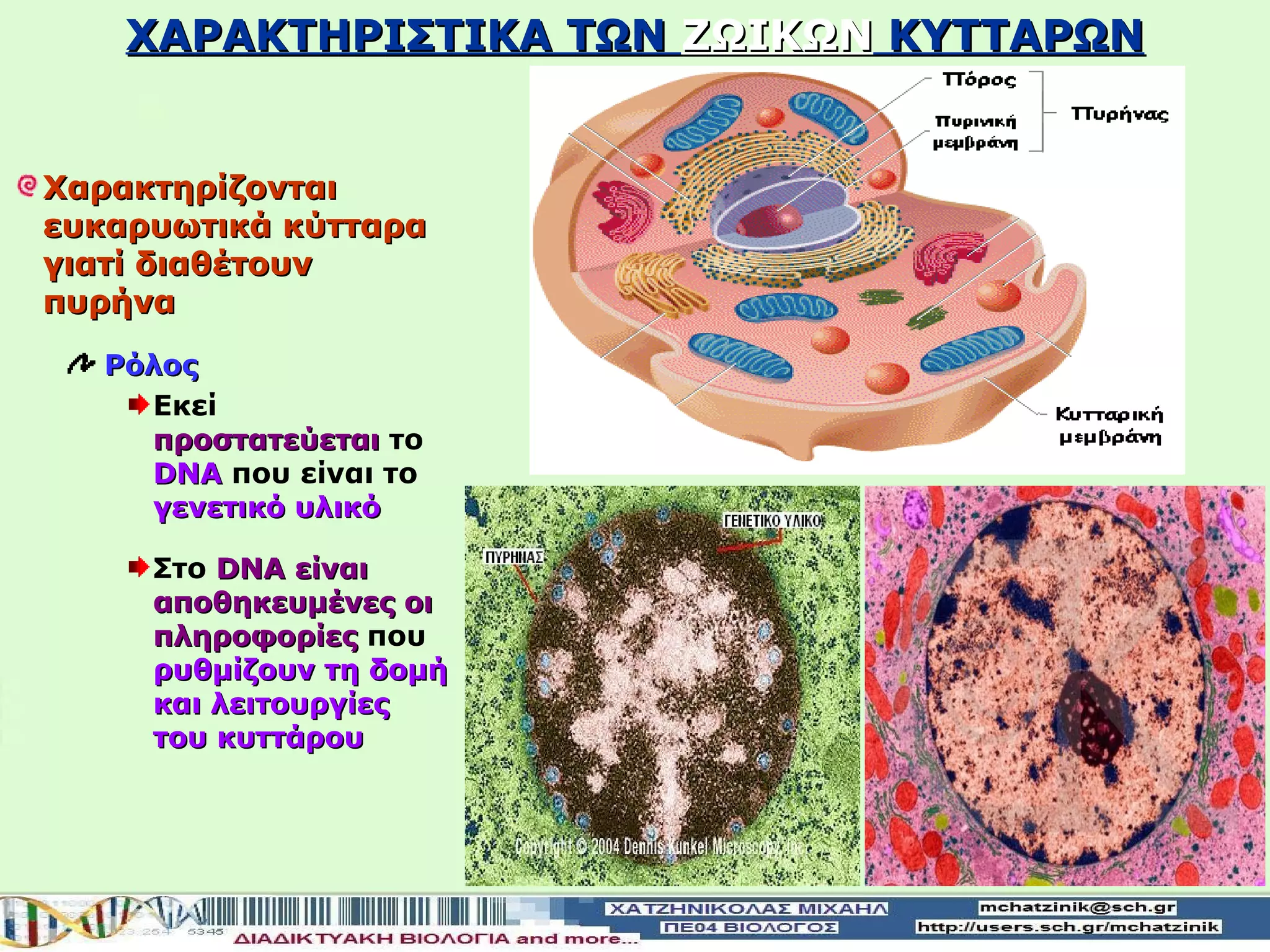 Kyttaroimonadatiszois | PPT