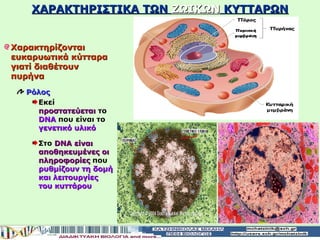 Kyttaroimonadatiszois | PPT