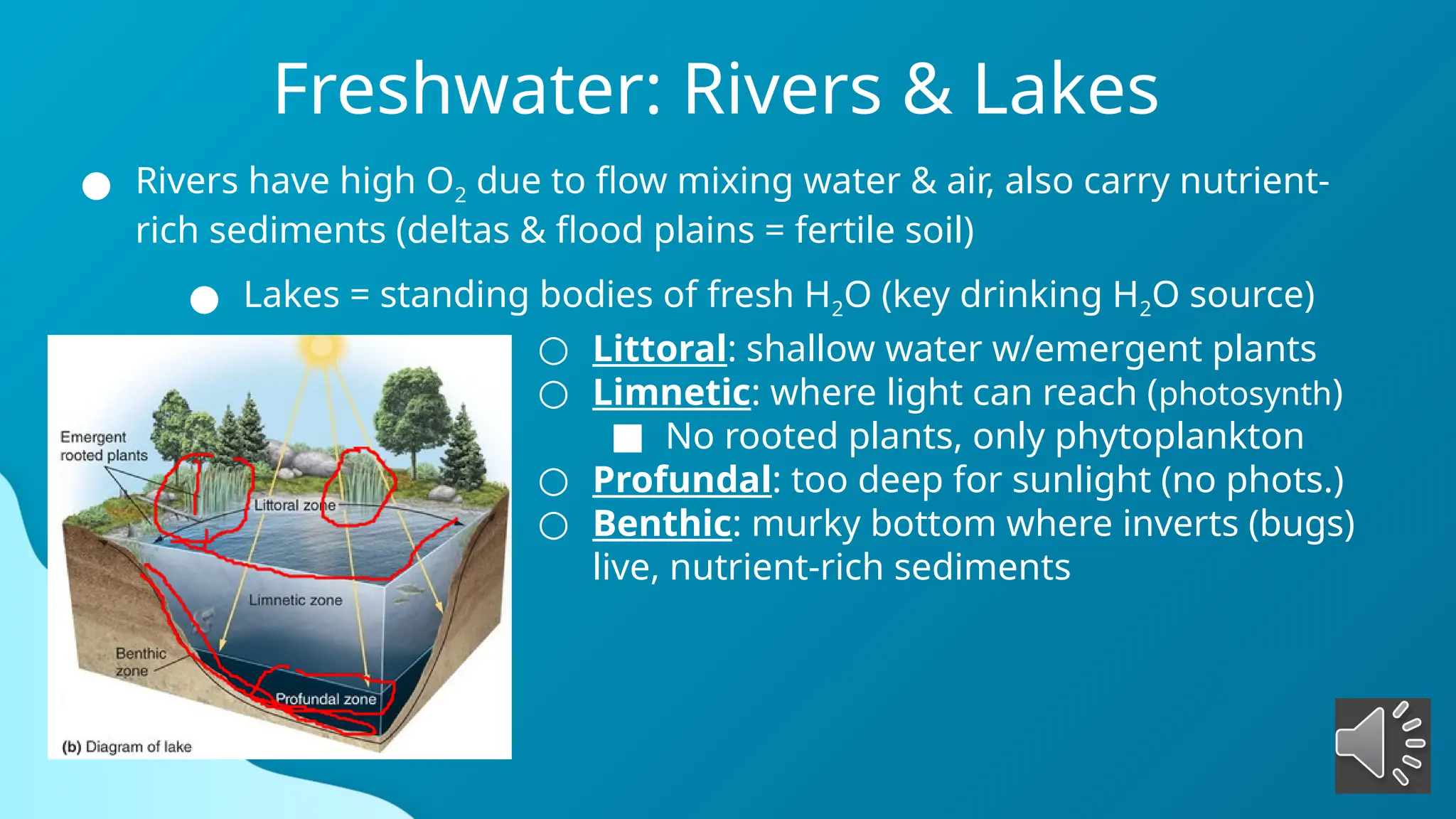 Smedes_APES_Unit_1_Notes_Slides_(20-21)-1.pptxedits_(2)-3.pptx