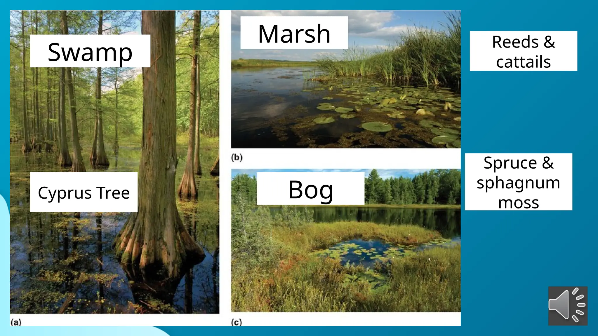 Smedes_APES_Unit_1_Notes_Slides_(20-21)-1.pptxedits_(2)-3.pptx