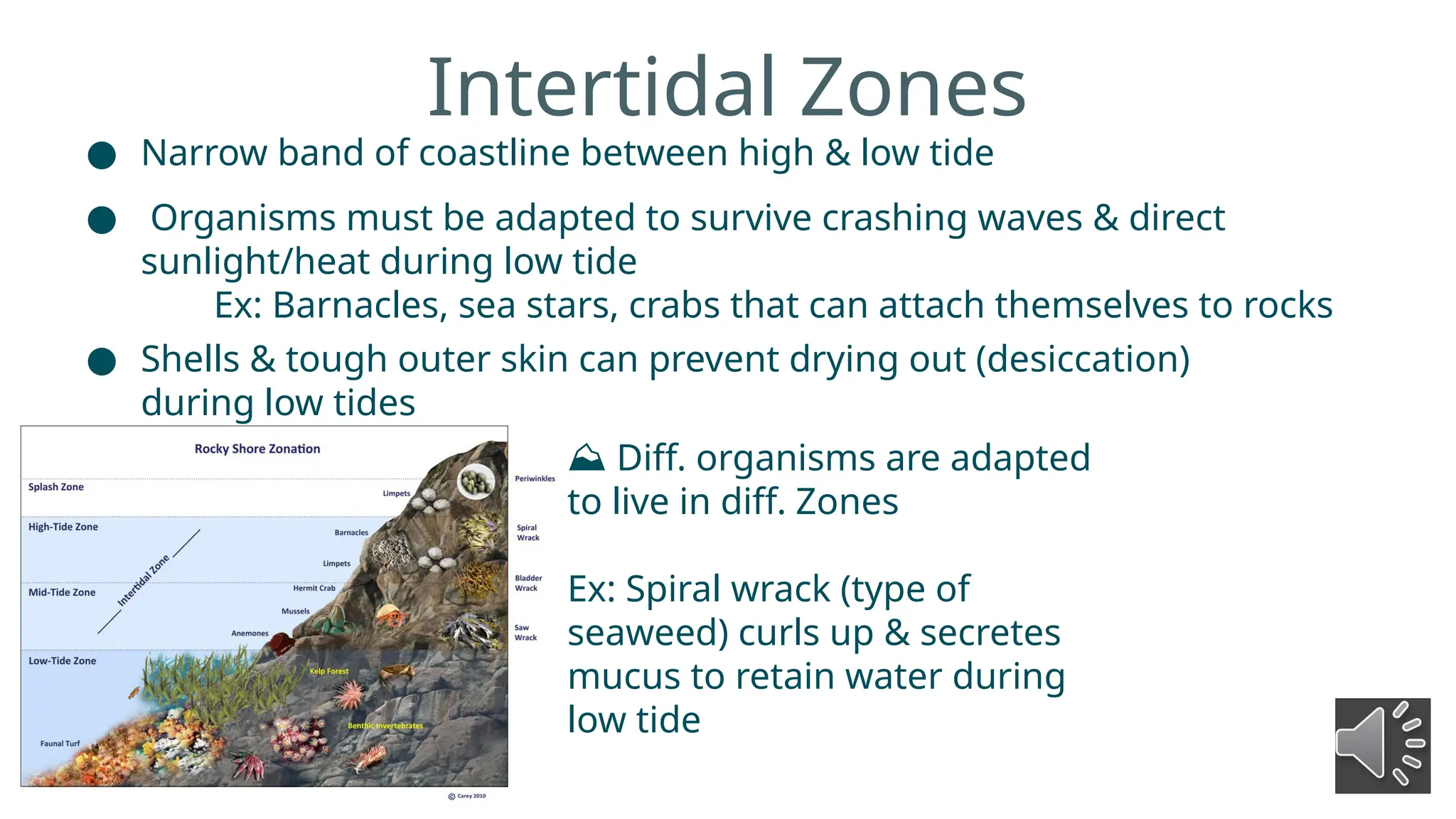 Smedes_APES_Unit_1_Notes_Slides_(20-21)-1.pptxedits_(2)-3.pptx