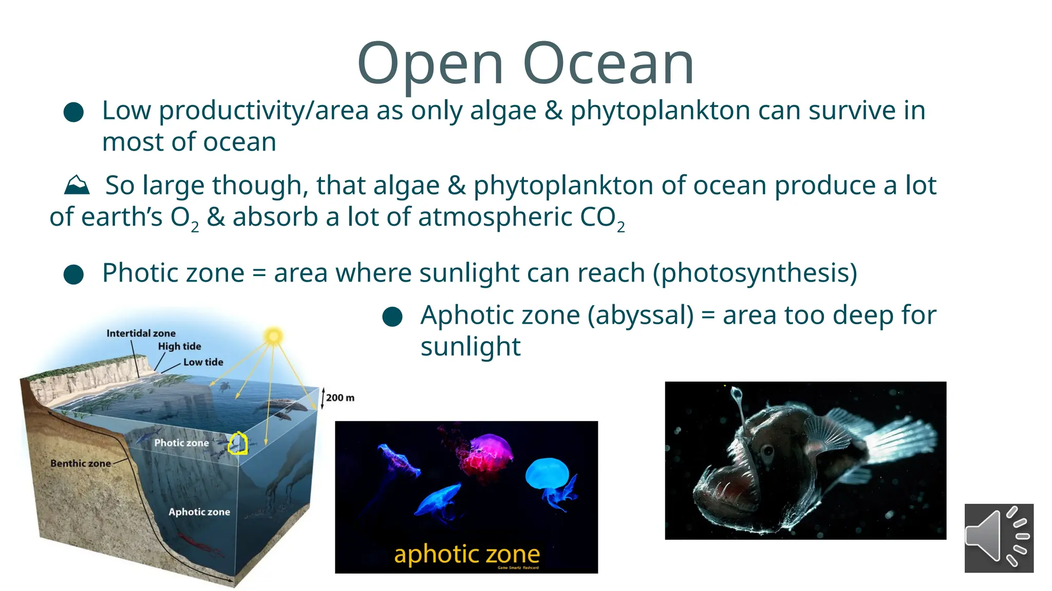 Smedes_APES_Unit_1_Notes_Slides_(20-21)-1.pptxedits_(2)-3.pptx
