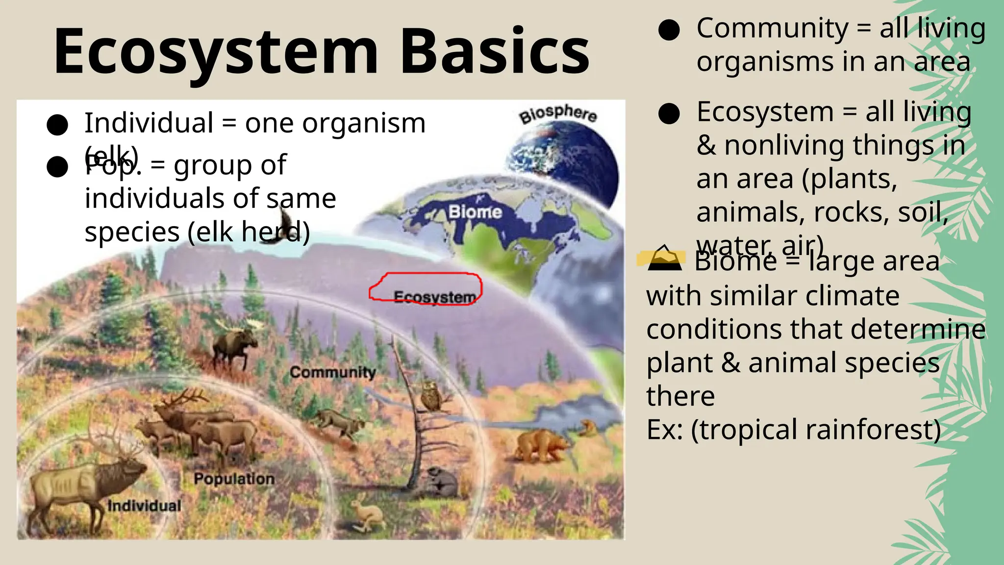 Smedes_APES_Unit_1_Notes_Slides_(20-21)-1.pptxedits_(2)-3.pptx