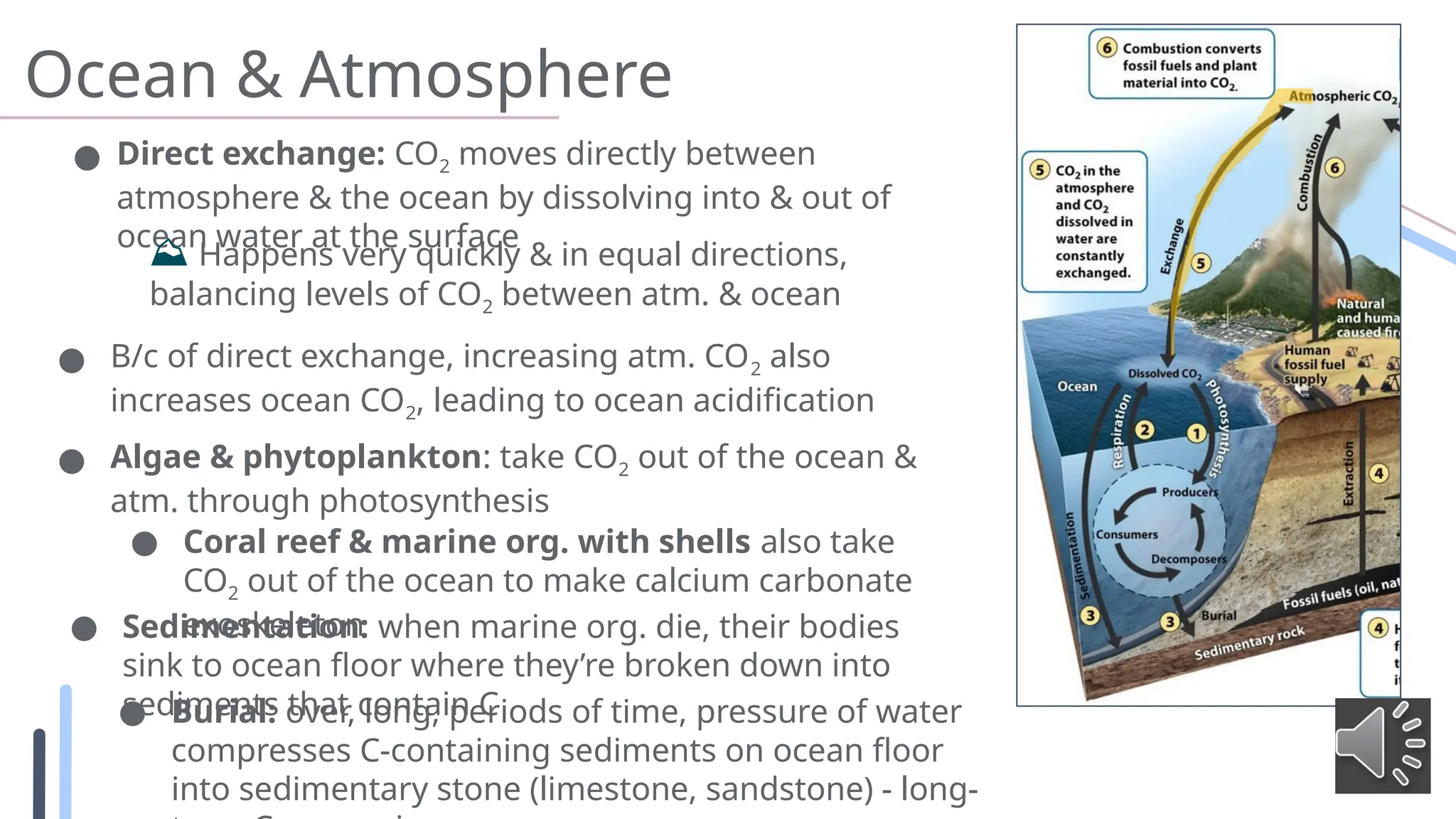 Smedes_APES_Unit_1_Notes_Slides_(20-21)-1.pptxedits_(2)-3.pptx