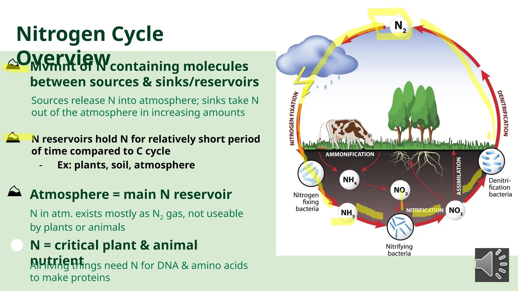 Smedes_APES_Unit_1_Notes_Slides_(20-21)-1.pptxedits_(2)-3.pptx