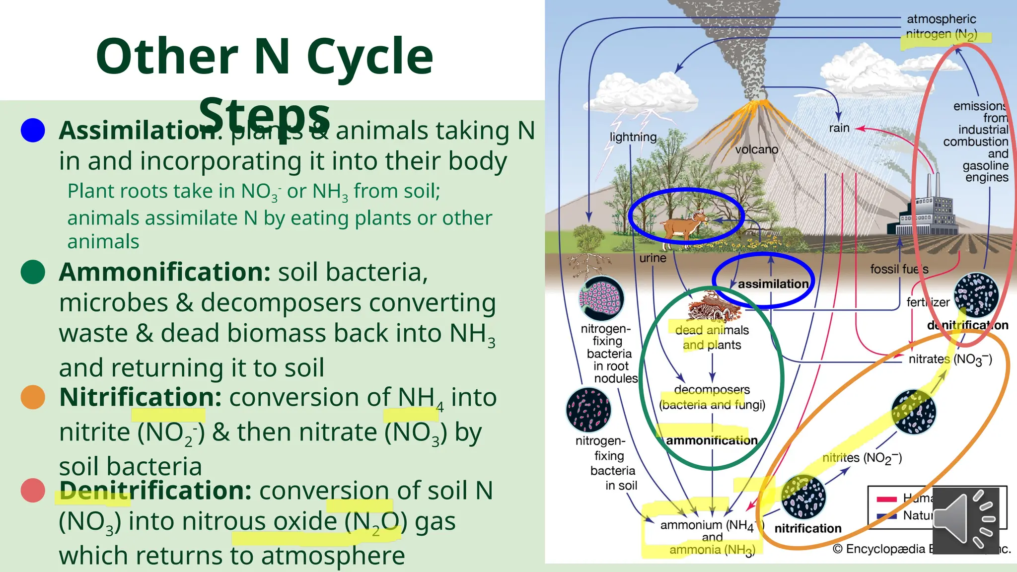 Smedes_APES_Unit_1_Notes_Slides_(20-21)-1.pptxedits_(2)-3.pptx
