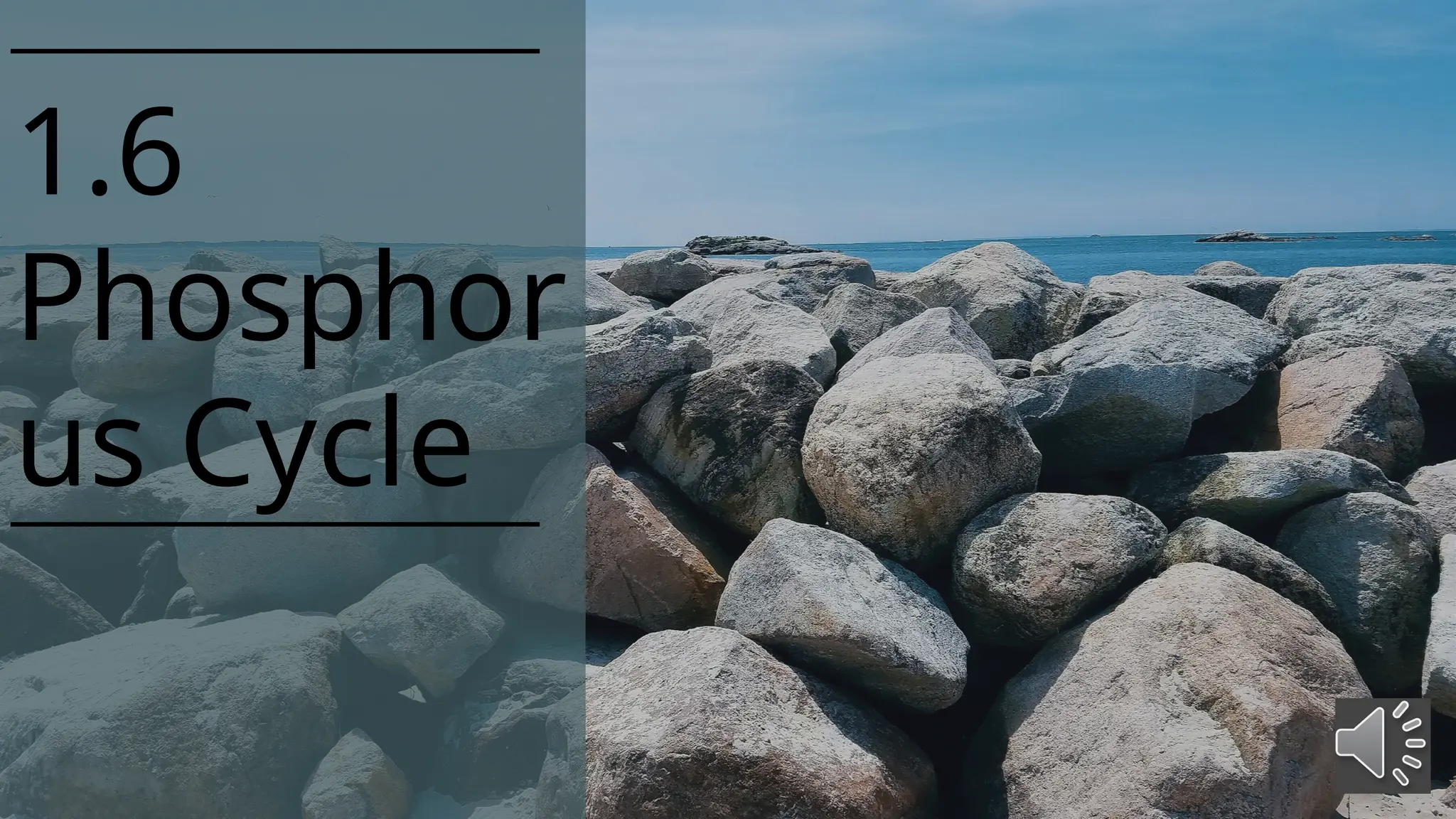 Smedes_APES_Unit_1_Notes_Slides_(20-21)-1.pptxedits_(2)-3.pptx