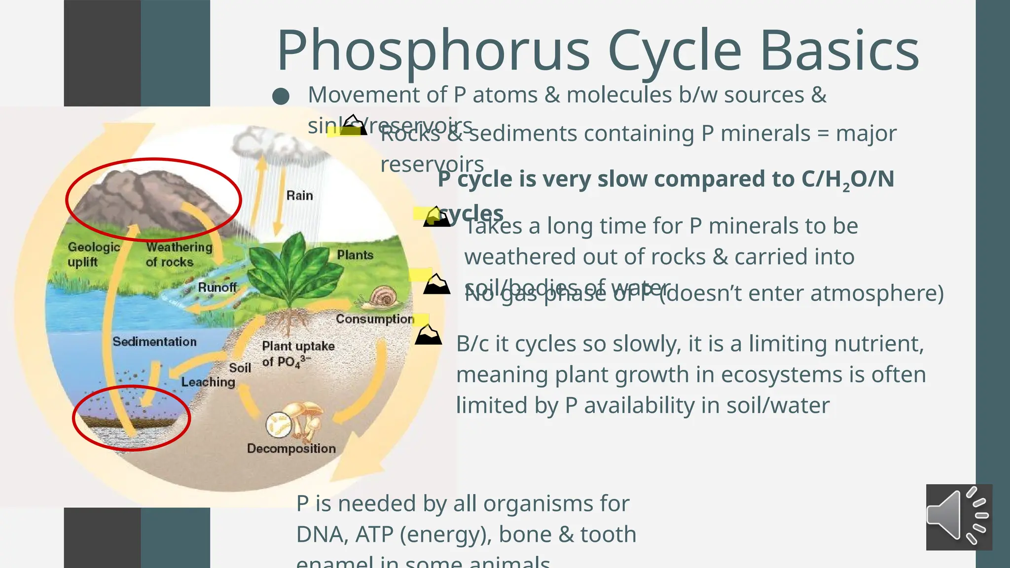 Smedes_APES_Unit_1_Notes_Slides_(20-21)-1.pptxedits_(2)-3.pptx