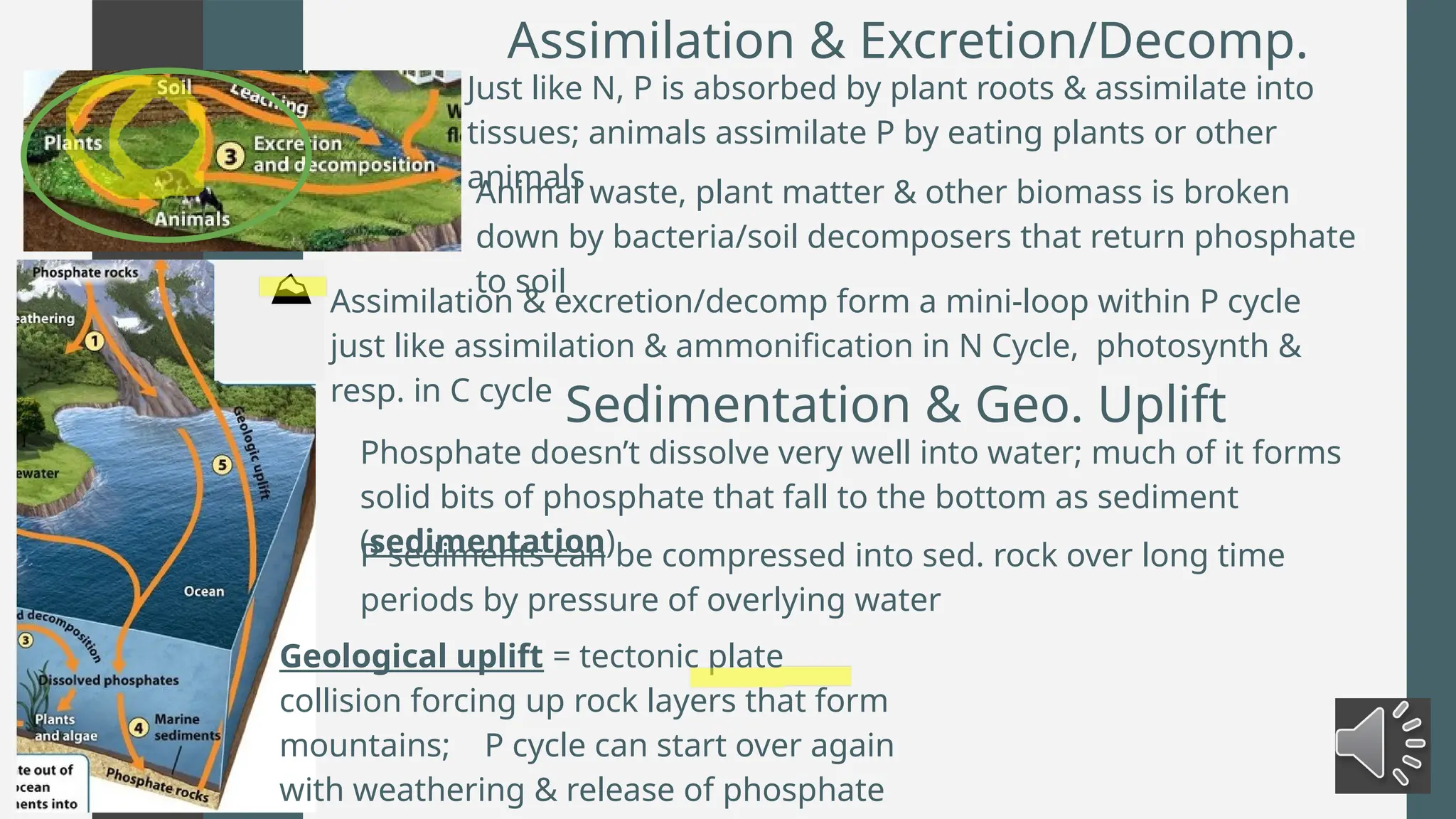 Smedes_APES_Unit_1_Notes_Slides_(20-21)-1.pptxedits_(2)-3.pptx