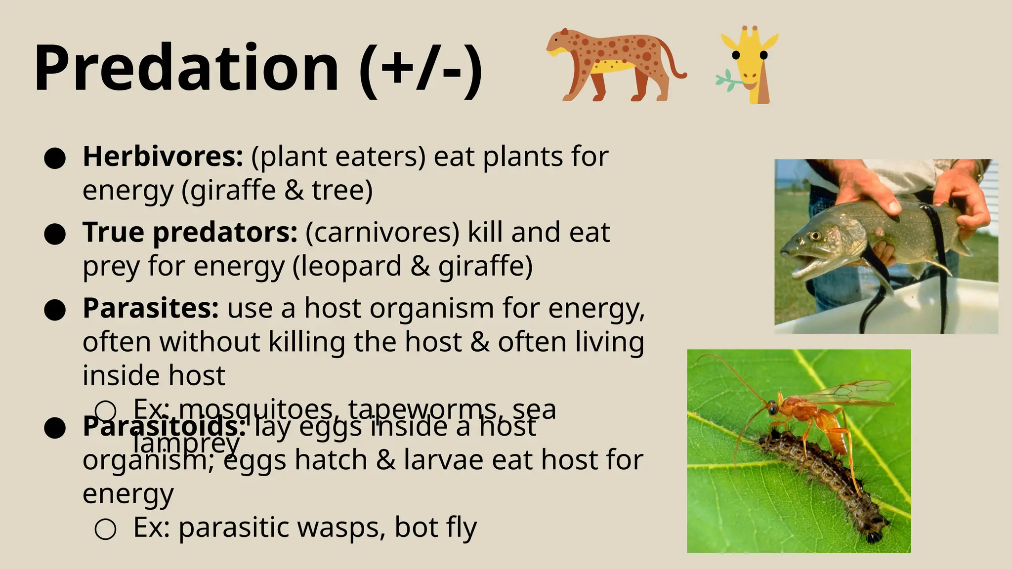 Smedes_APES_Unit_1_Notes_Slides_(20-21)-1.pptxedits_(2)-3.pptx