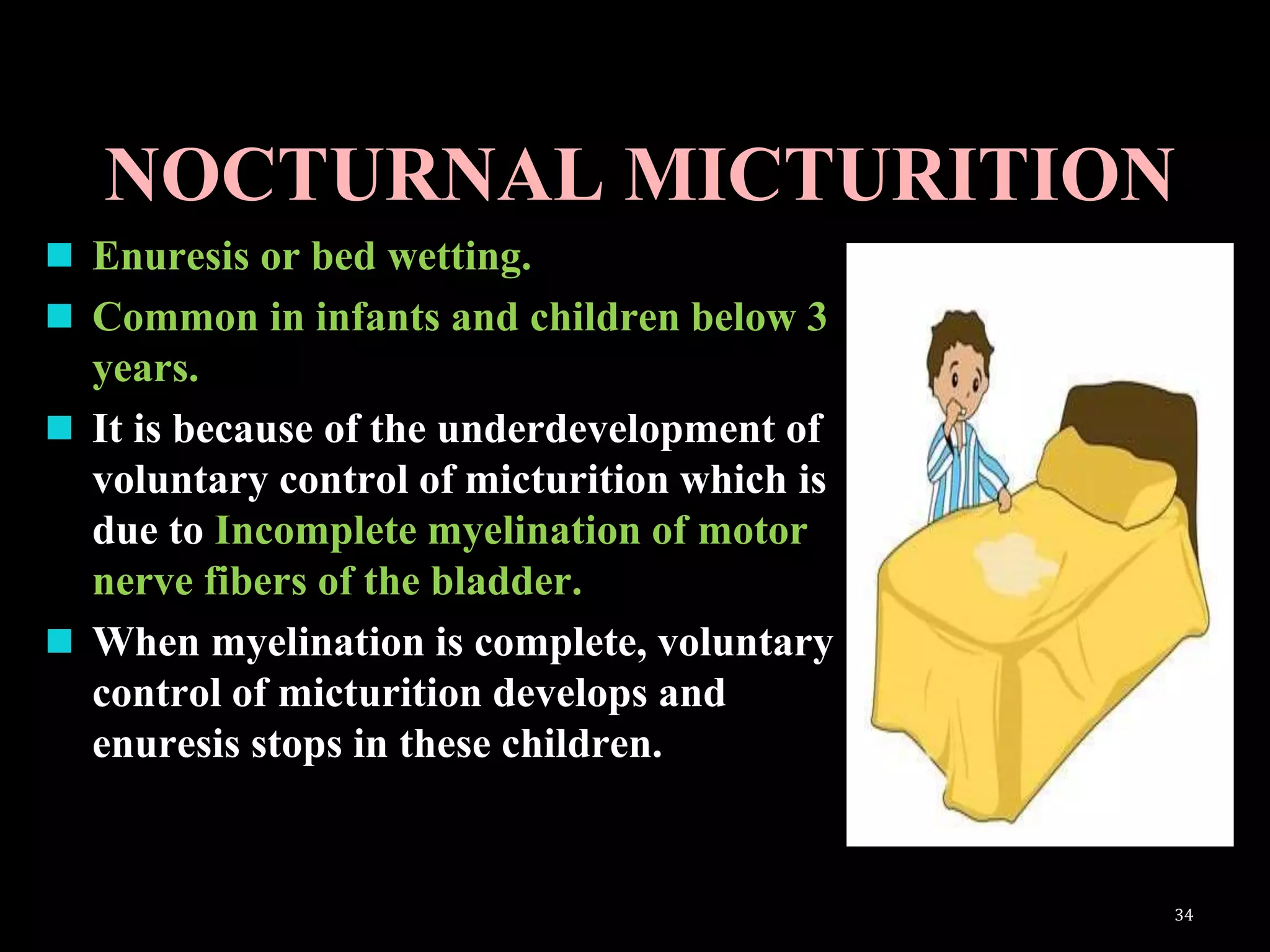 Micturation (1) | PPTX