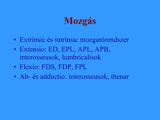 Hand surgery guidlines for medical students, power point | PPT