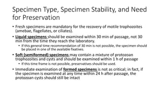 Comprehensive Notes on Medical Parasitology - Lecture 1” | PDF