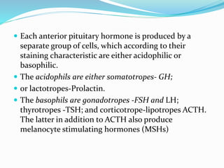 L 02 (anterior pituitary h's) | PPTX