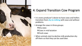 L-04 - Principles of Profitable Dairy Farming-1.pdf | Agriculture ...