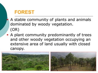 L-1- Introduction to Forestry and Agro-Forestry W-23.pdf