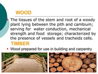 L-1- Introduction to Forestry and Agro-Forestry W-23.pdf
