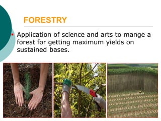 L-1- Introduction to Forestry and Agro-Forestry W-23.pdf