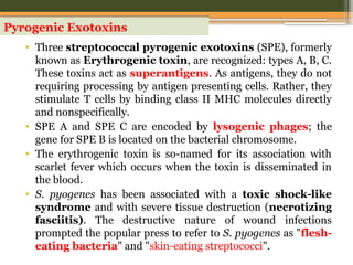Streptococcus pyogenes is one of the most frequent pathogens of humans ...