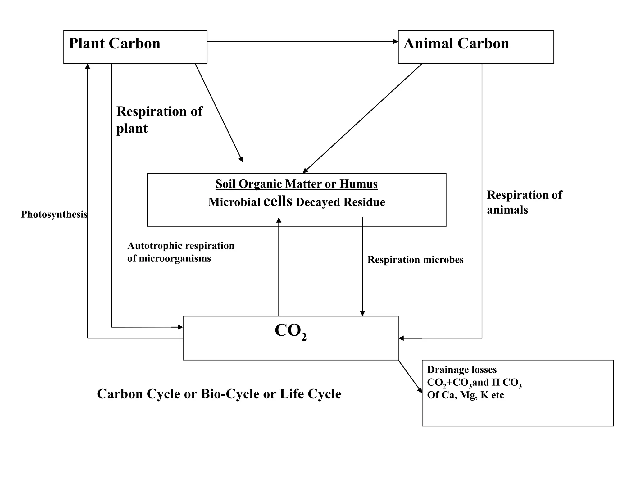 L-10-C Cycle.pptx