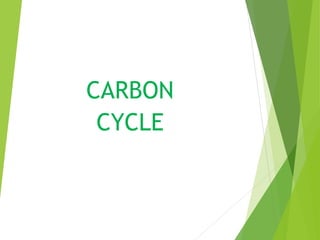 L-10-C Cycle.pptx