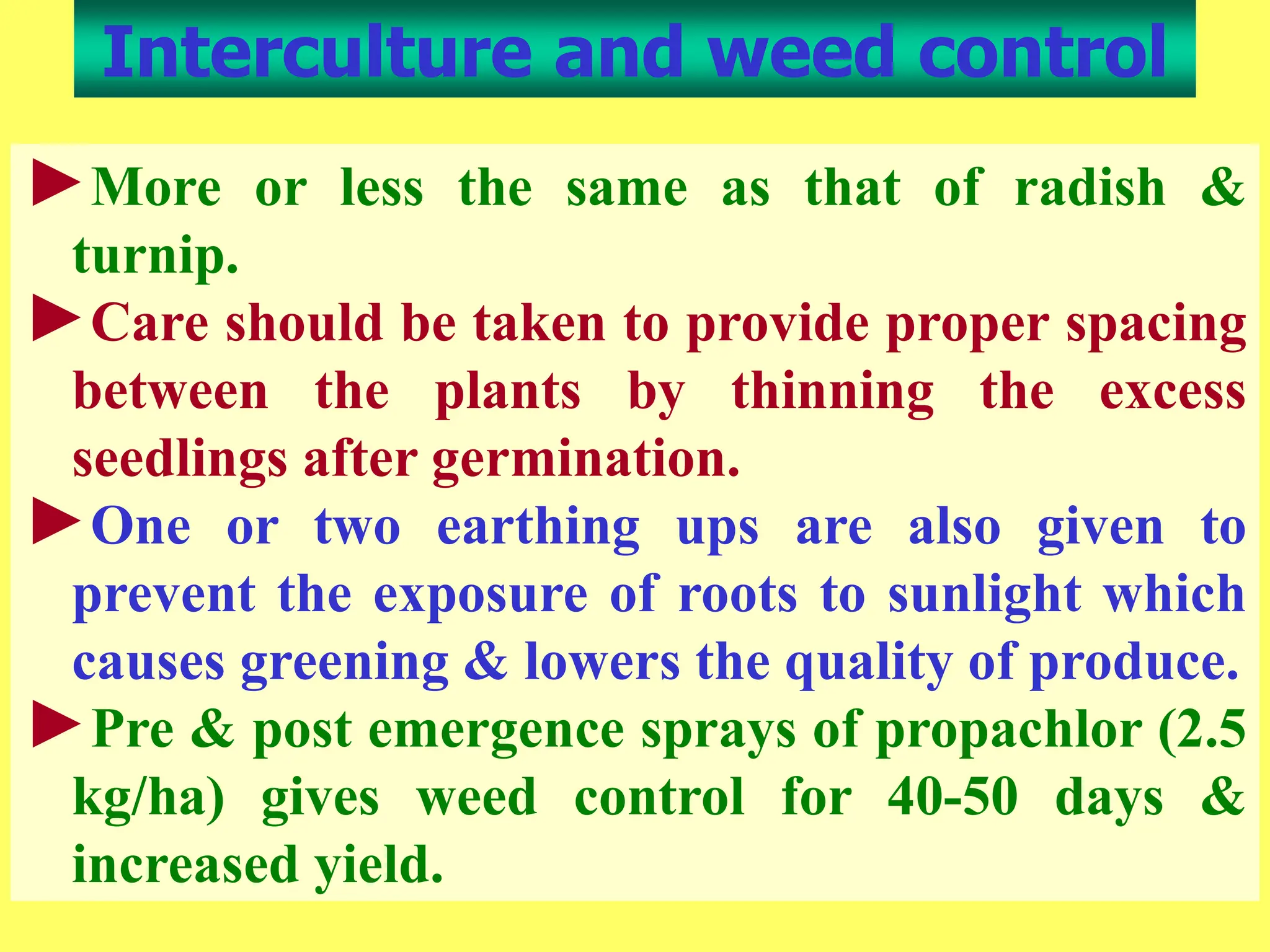 beetroot production technology vegetable crop | PPSX