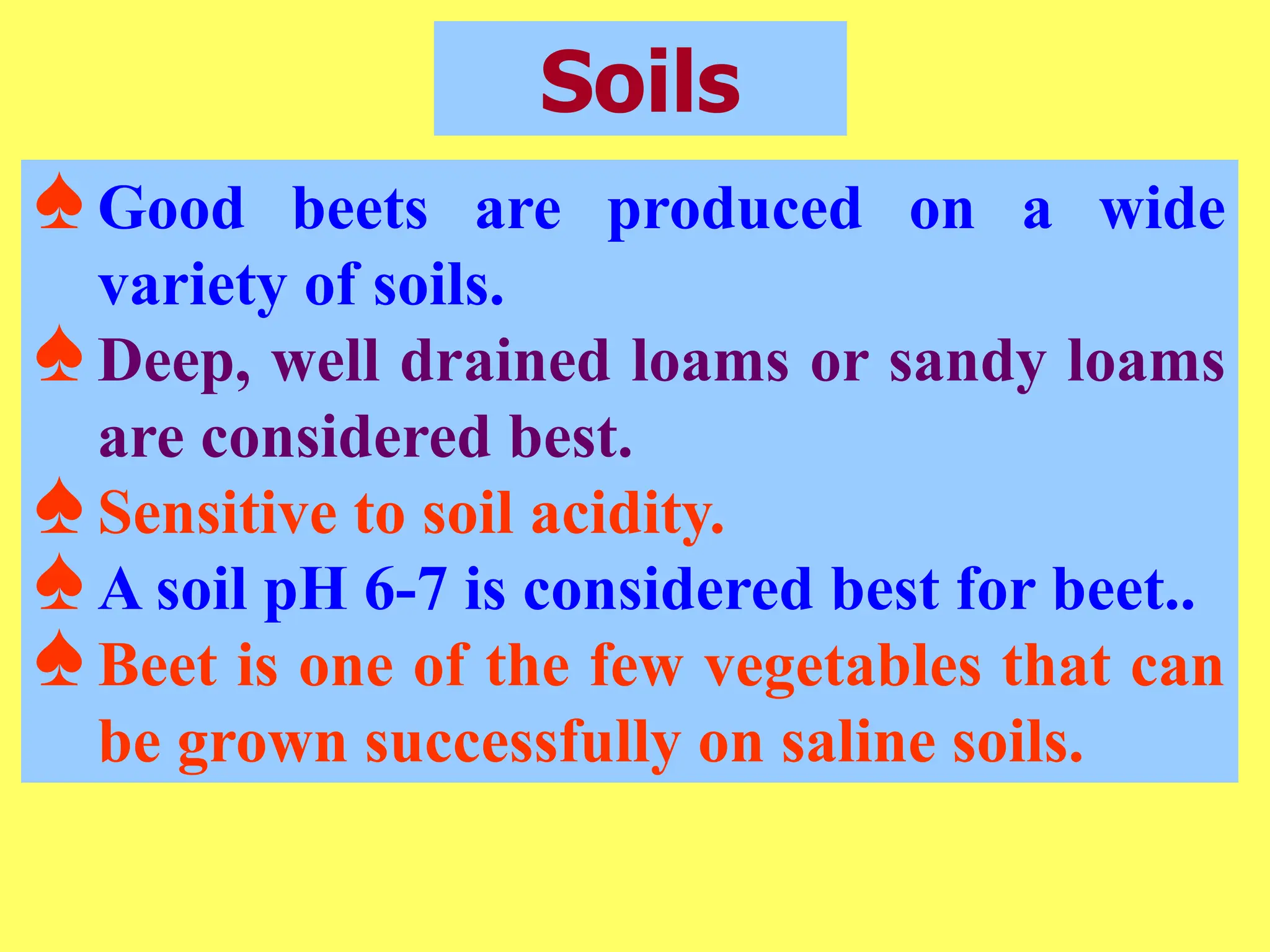 beetroot production technology vegetable crop | PPSX