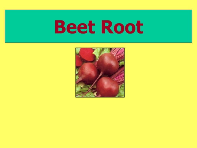 beetroot production technology vegetable crop | PPSX | Beekeeping ...