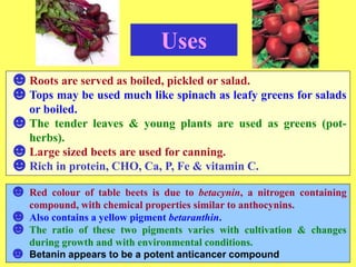 beetroot production technology vegetable crop | PPSX