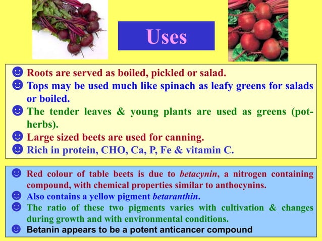 beetroot production technology vegetable crop | PPSX | Beekeeping ...