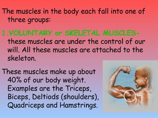 L 11. Muscles And Movement New | PPT