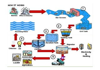 L 11 screen chamber | PDF