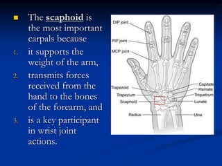 L-11 wrist&hand.ppt