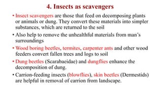 L-1&2 Economic classification of insects and Pests Surveillance.pptx