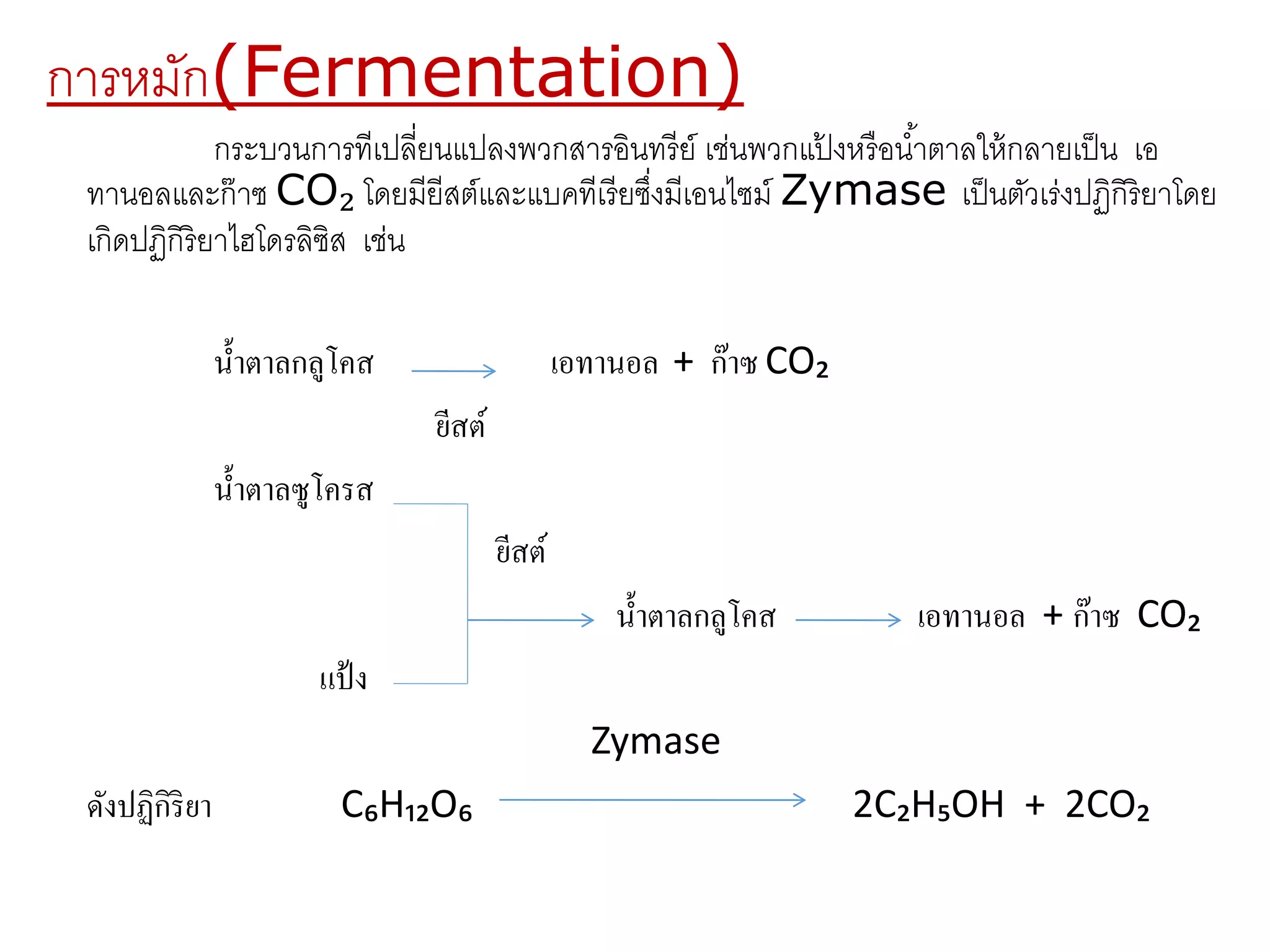 Biomolecule - สารชีวโมเลกุล | PPTX