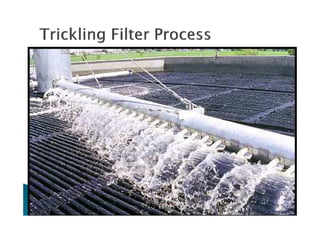 Trickling Filter For Water
