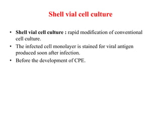 Lab diagnosis of viral infection | PPTX