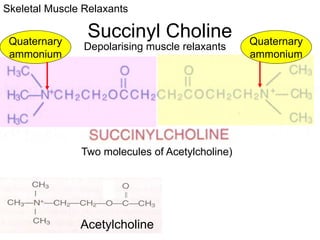 Skeletal Muscle Relaxant overall presentation | PPTX