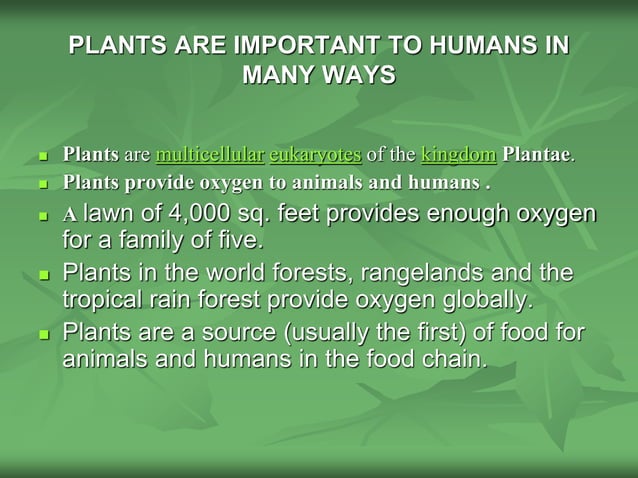 l-1_plant_importance.ppt