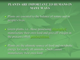 l-1_plant_importance.ppt