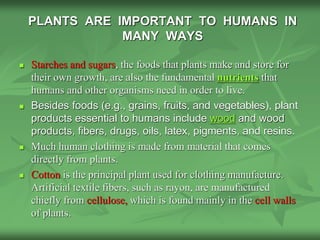 l-1_plant_importance.ppt