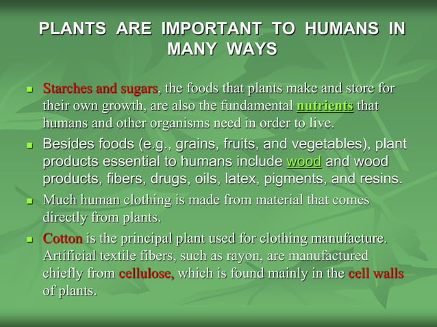 l-1_plant_importance.ppt