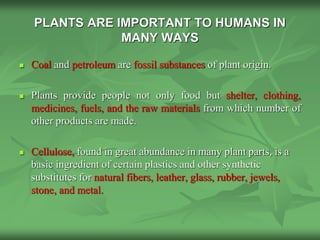 l-1_plant_importance.ppt