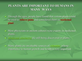 l-1_plant_importance.ppt
