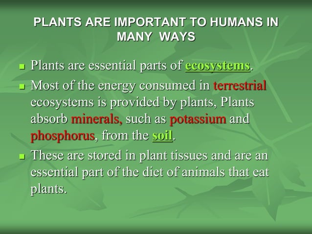 l-1_plant_importance.ppt