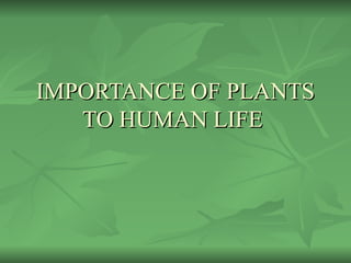 plants and plant_products importance starch.ppt
