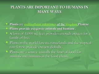 plants and plant_products importance starch.ppt
