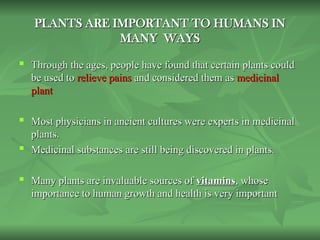 plants and plant_products importance starch.ppt