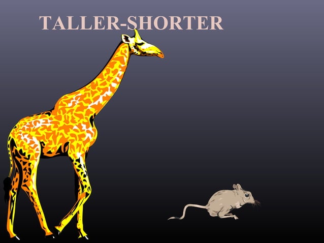 L 1 what is long what is short | PPT